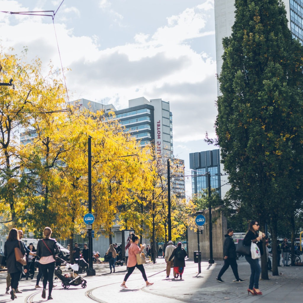 Home - Elonex DigiVans