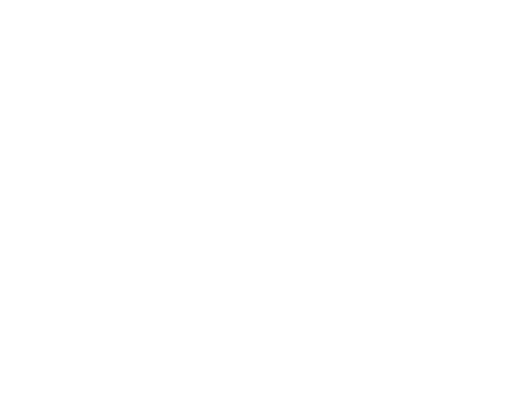 Newcastle Cup Parade - DigiVans by Elonex